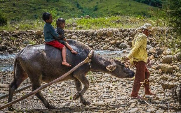 ‘BALANGIGA: Howling Wilderness’ graded zero by Cinema Evaluation Board ...