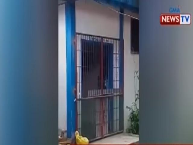 Batang lalaki na inayang manghuli ng gagamba, ginahasa | Balitambayan Batang lalaki na inayang manghuli ng gagamba, ginahasa | Balitambayan