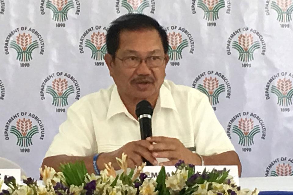 Piñol says weevil-infested rice safe to eat after washing, no need to ...