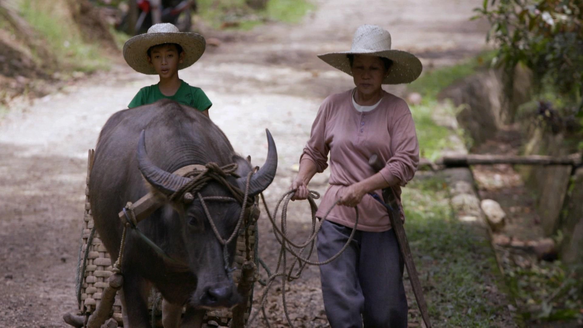 Batang magbubukid, kilalanin sa 'Front Row | GMA News Online