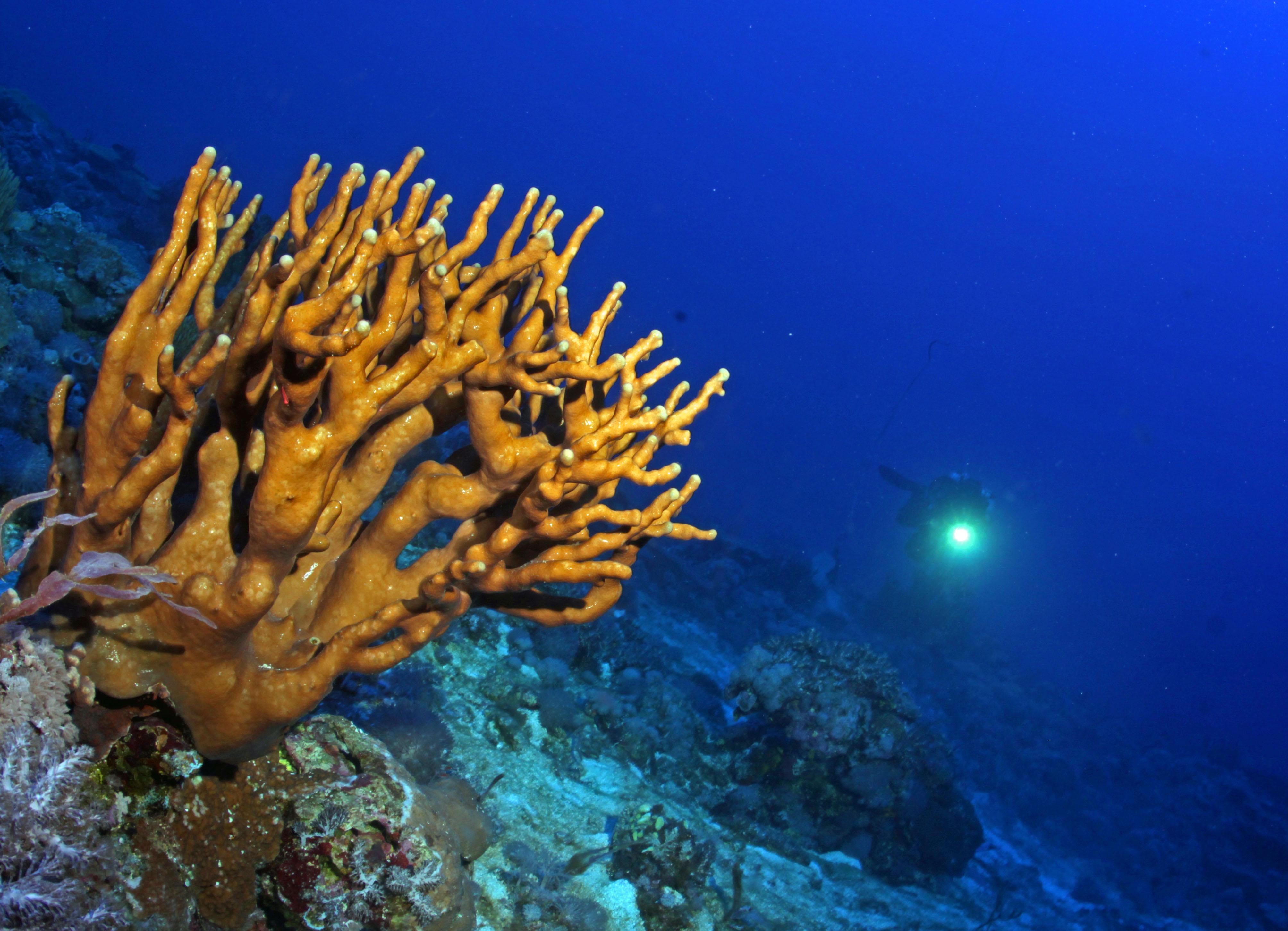 Oceans warming faster than expected, set heat record in 2018 ...