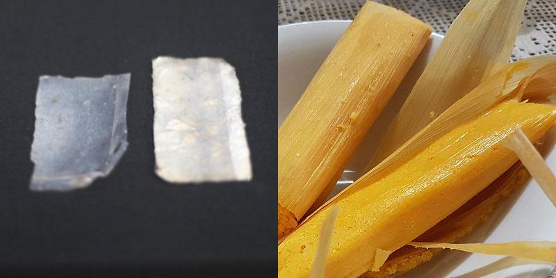 Could packaging made of corn husk and chicken feather be the solution ...