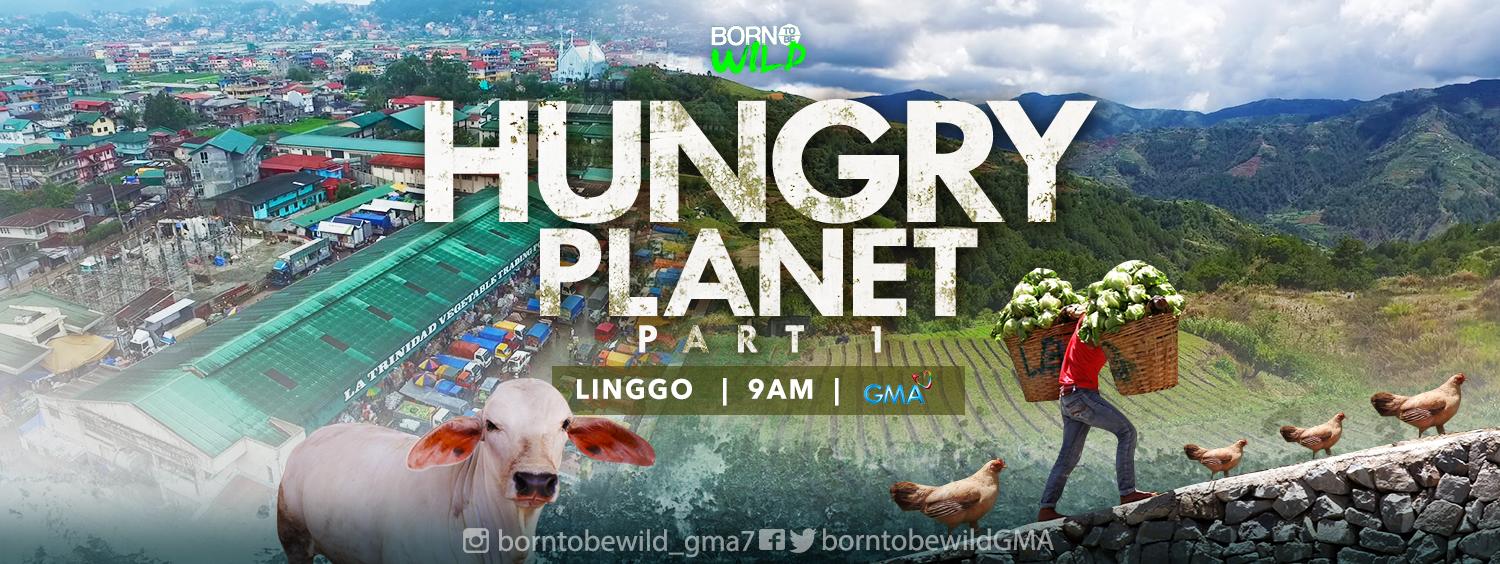 ‘Hungry Planet’ series premieres this Sunday on ‘Born to be Wild’ | GMA ...