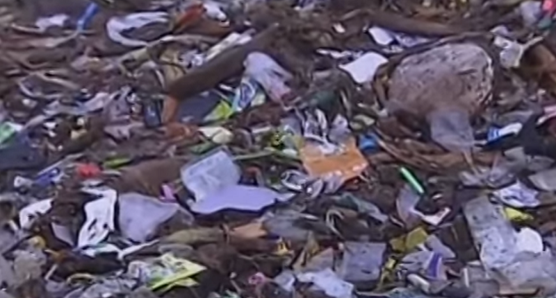 Garbage gathered from Roxas Boulevard after Ompong dumped near Manila ...