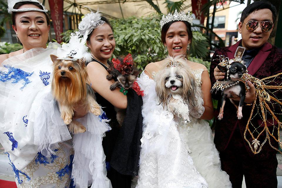 Pet owners celebrate World Animal Day | Photos | GMA News Online