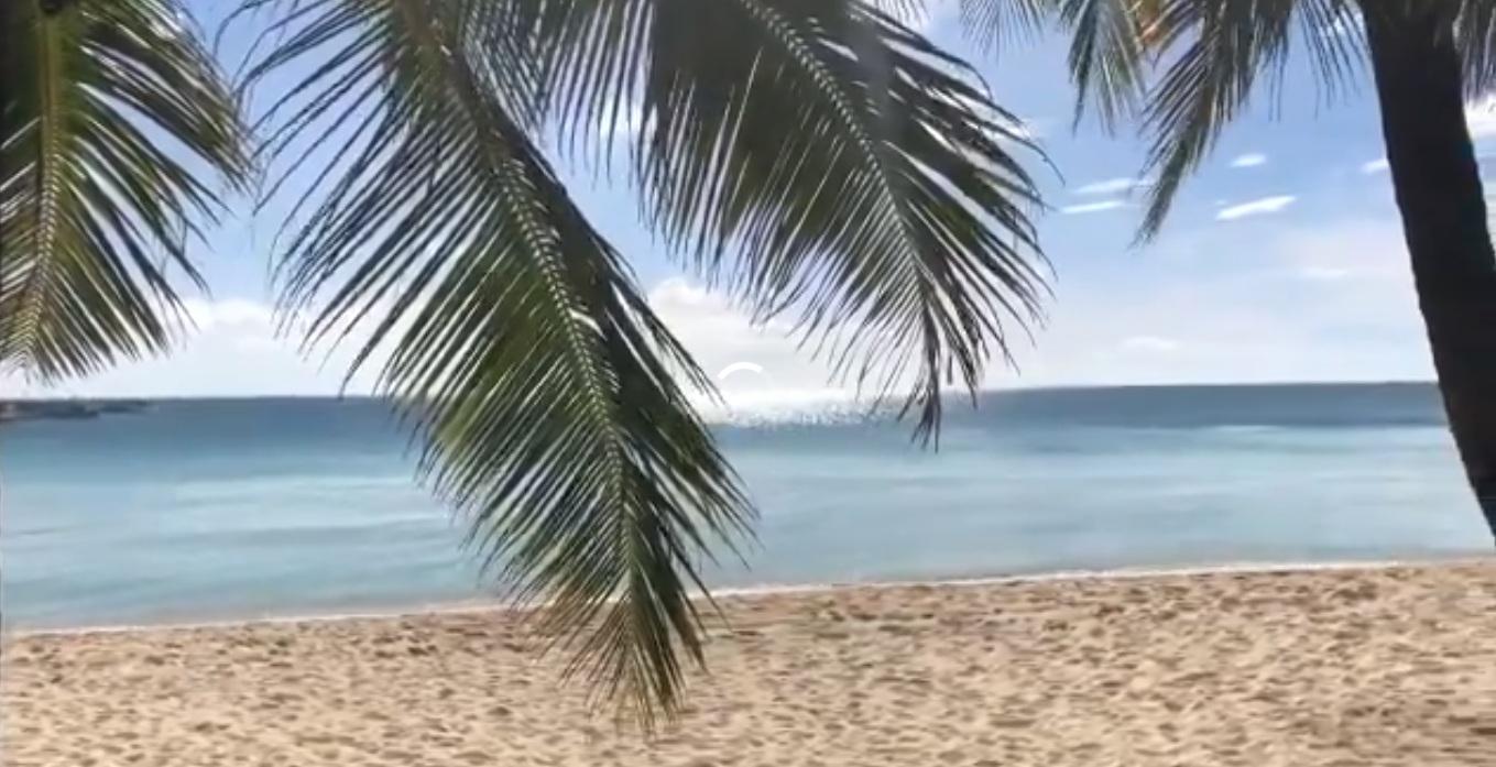 Malay, Aklan mayor suspended on eve of Boracay re-opening | GMA News Online