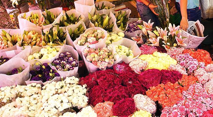 Kinds Of Flowers Available In Dangwa | Best Flower Site