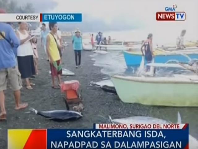 Sangkaterbang isda tulad ng tuna, napadpad sa dalampasigan sa Surigao ...