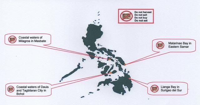 Shellfish poison alert up over 4 areas | GMA News Online