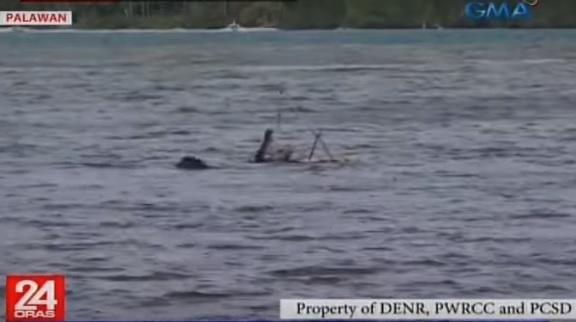 Experts say crocodile ‘Singko’ killed fisherman; video shows croc ...