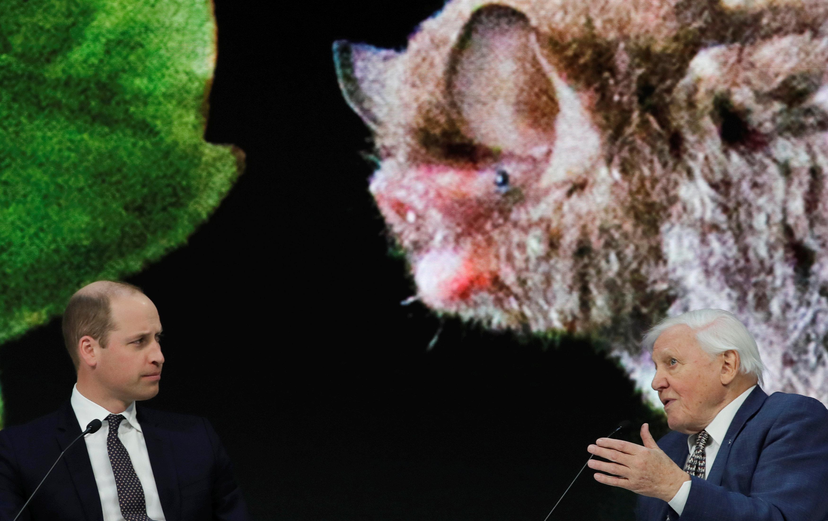 Prince William turns interviewer in Davos appearance with Attenborough ...