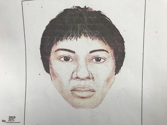 Cops release artist sketch of suspect in slay of QC barangay chief ...