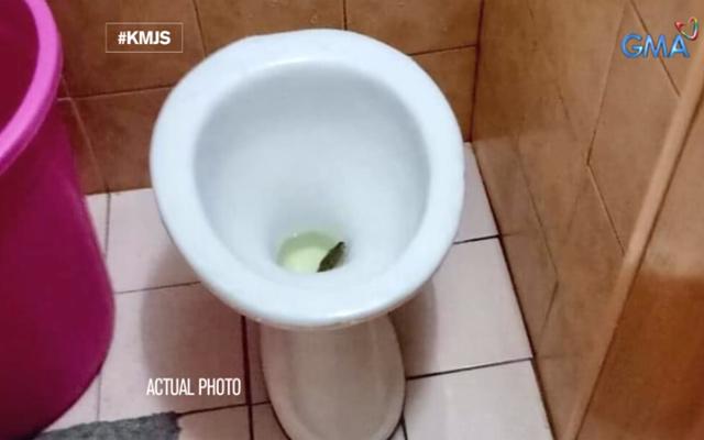 Sawa na lumabas sa inidoro, posible kaya na may mga kasama pa ...