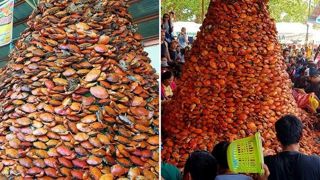Isang toneladang alimango, pinagpiyestahan ng mga taga-Lala, Lanao del ...