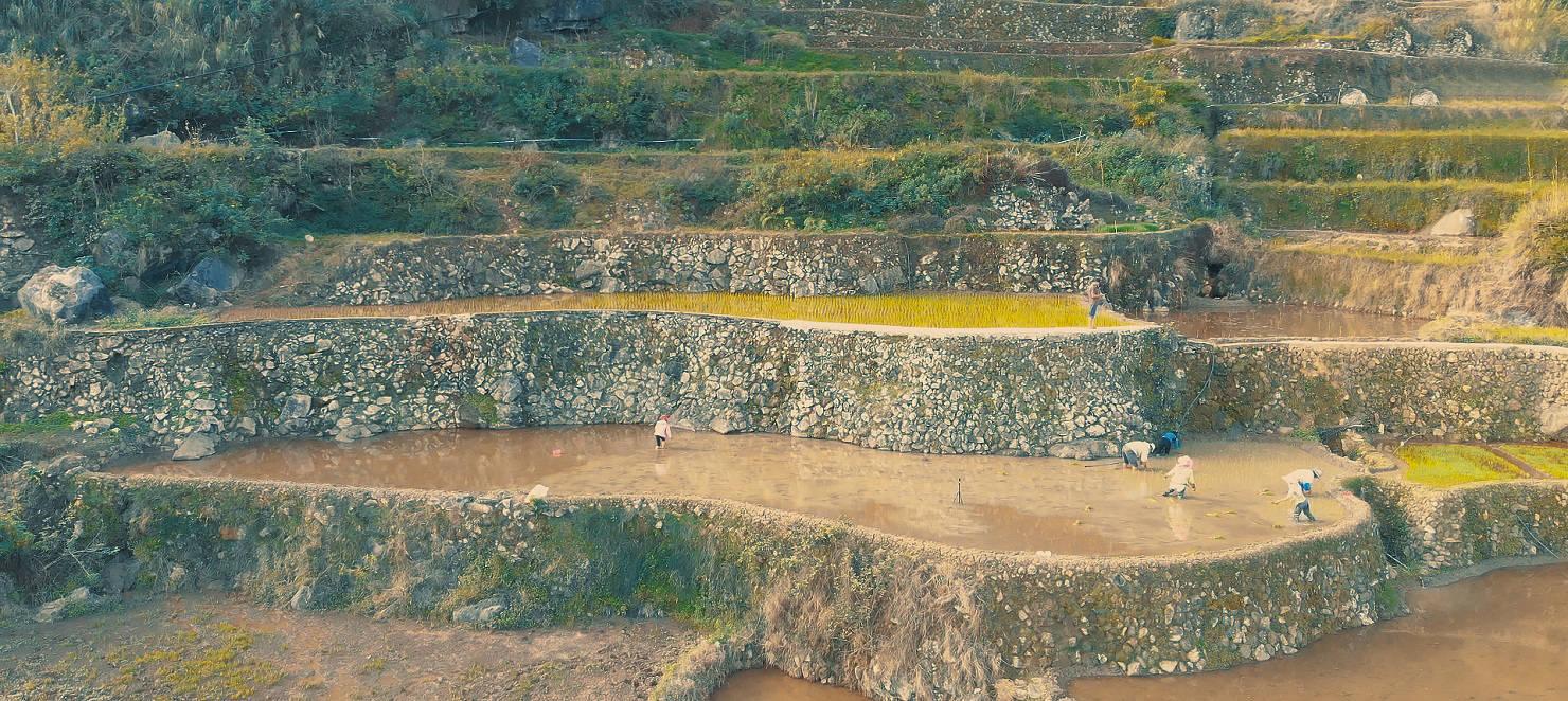 In 360: Igorot women saving Sagada rice terraces, forest | Cover ...