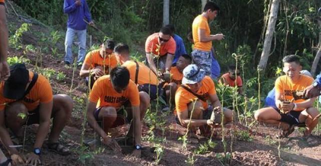 Former illegal loggers lead planting of 1k trees on Earth Day in ...