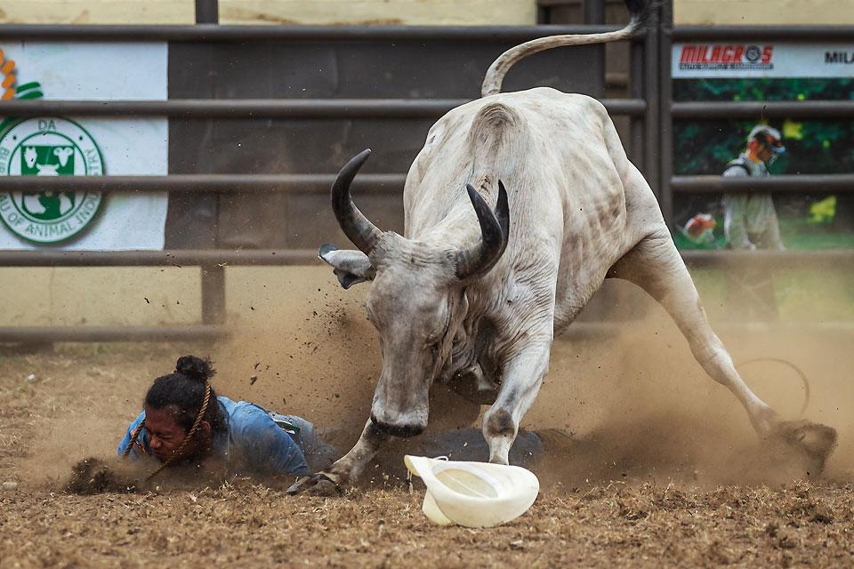 26th Rodeo Masbateño kicks off | Photos | GMA News Online