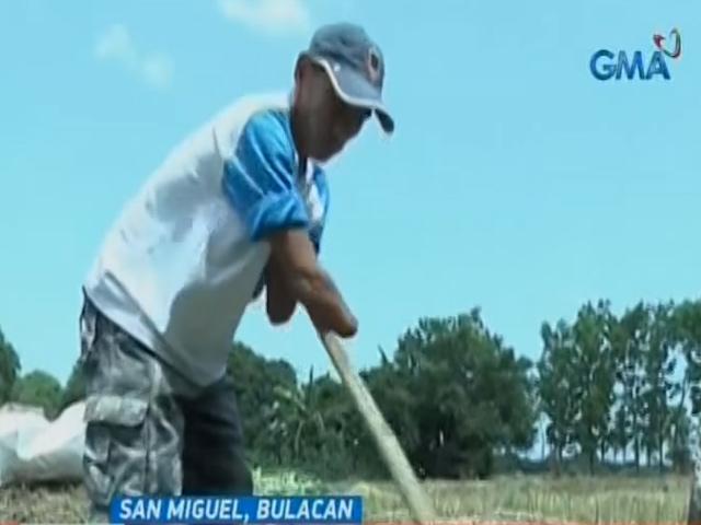 Magsasakang naputulan ng dalawang braso, ayaw maging pabigat sa pamilya ... Magsasakang naputulan ng dalawang braso, ayaw maging pabigat sa pamilya ...