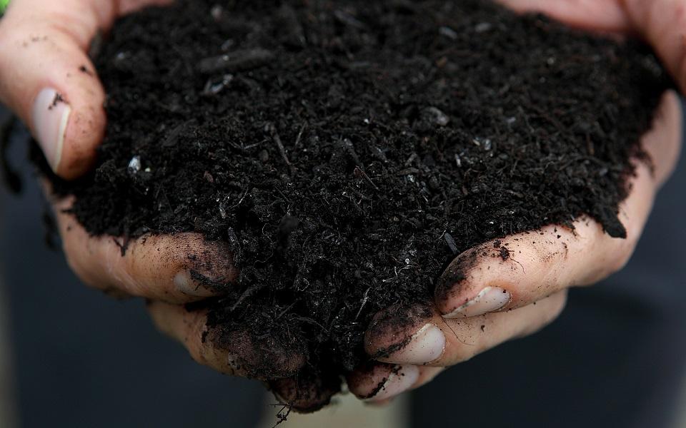 Washington becomes first US state to legalize human composting | GMA ...