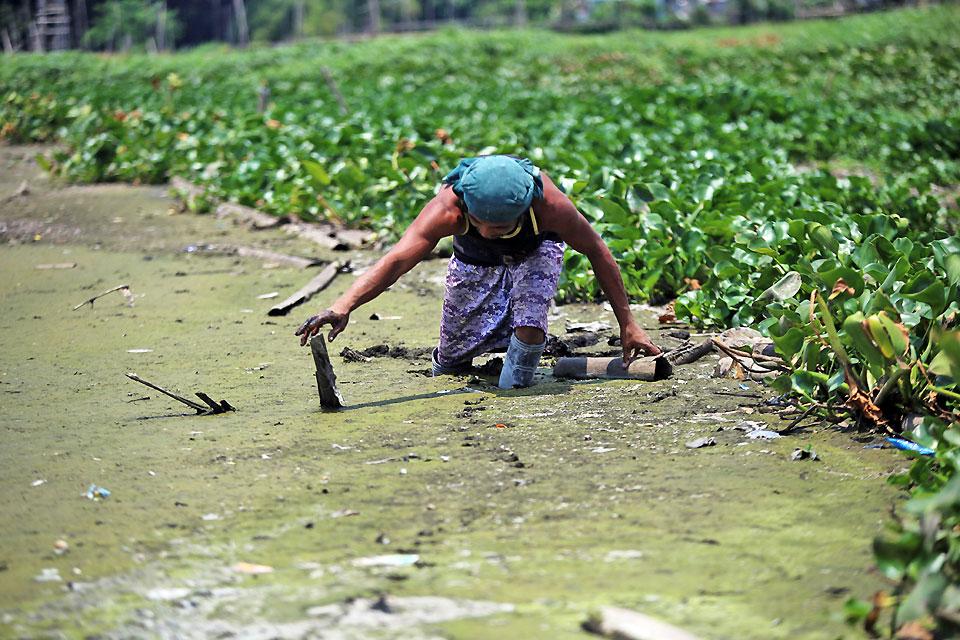 MWSS taps Singapore experts as poor Laguna Lake water quality threatens ...