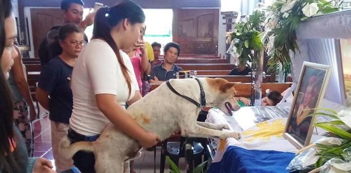 A dog visits the wake of his deceased caretaker, stays at the foot of ...