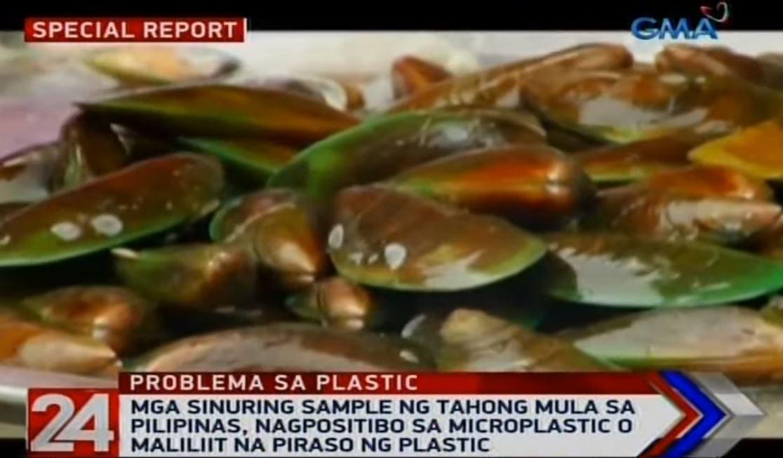 Tahong samples from PHL test positive for microplastics | GMA News Online