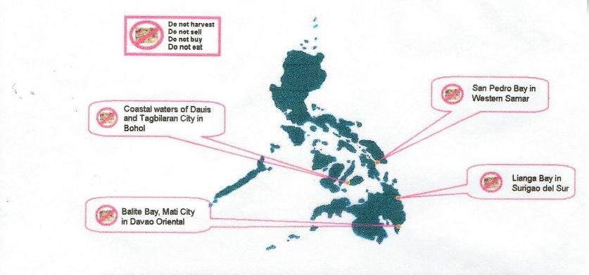 BFAR: 'Red tide' warning on shellfish up in 4 areas | GMA News Online