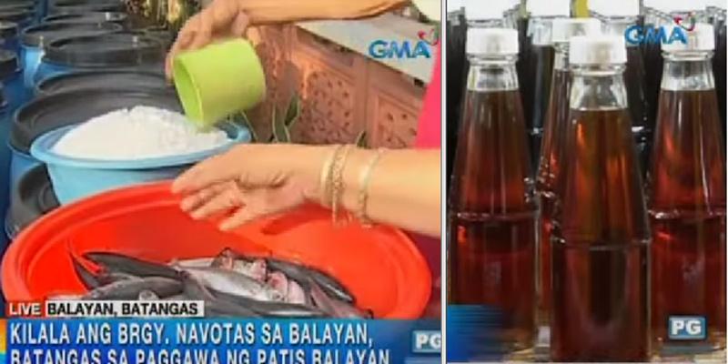 Alamin kung papaano ginagawa ang masarap na patis ng Balayan, Batangas ...