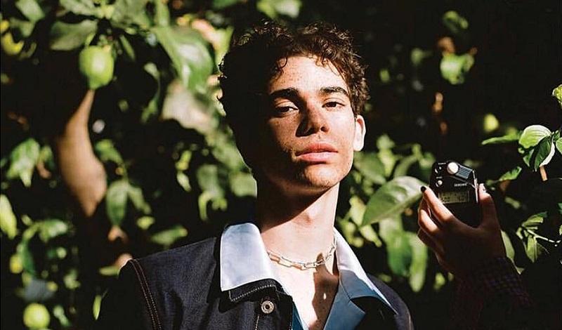 Cameron Boyce, Disney Channel star, dead at 20 | GMA News Online