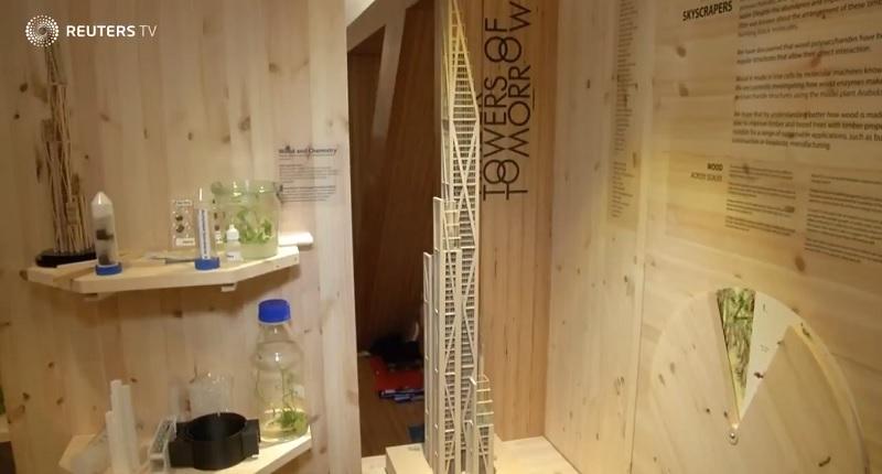 Wooden skyscrapers could shape future cities, say researchers │ GMA ...