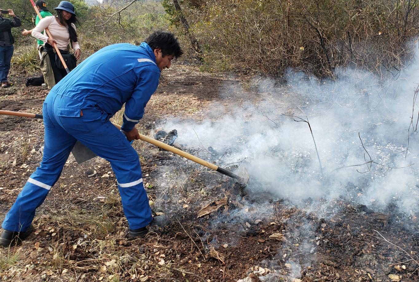 More than 2 million animals perish in Bolivia wildfires | GMA News Online