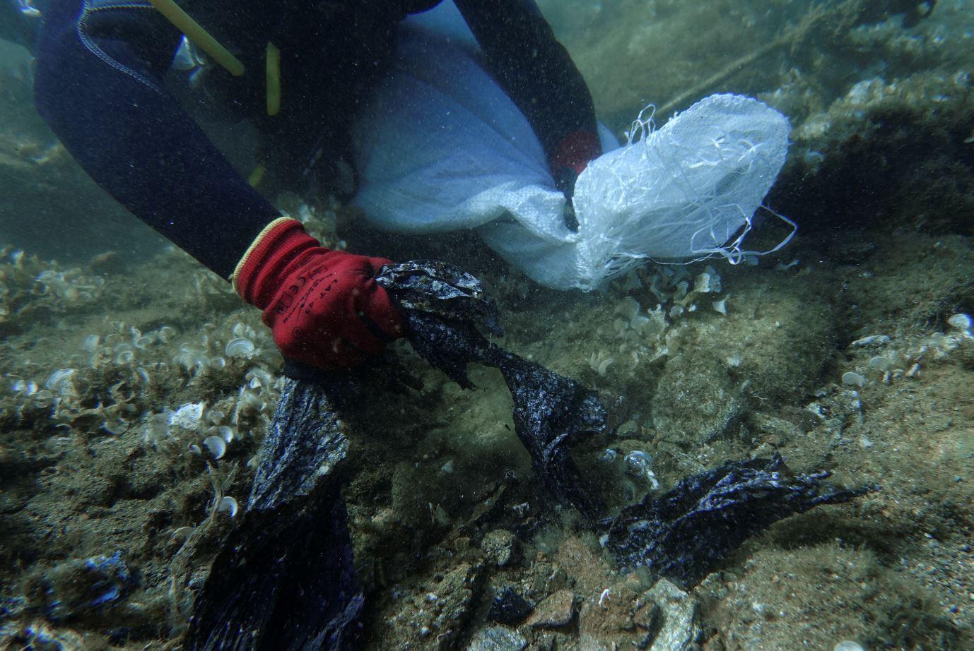 In Greece's Aegean Sea, divers find 'gulf of plastic corals' | GMA News ...