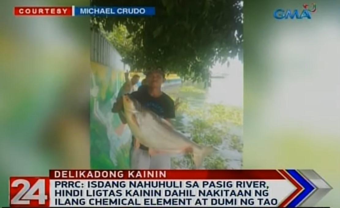 17-kilo dory caught in Pasig River | GMA News Online