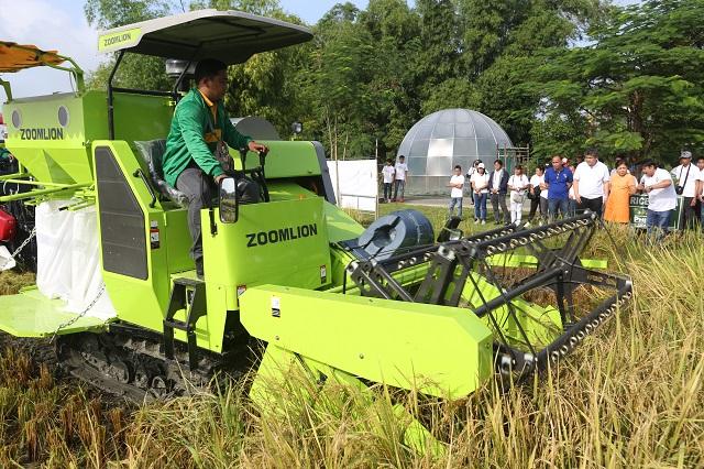 Training for modernized production of high quality inbred rice ongoing ...