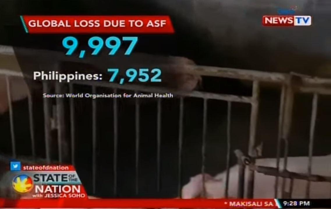 PHL accounts for almost 80% of ASF-related death of hogs worldwide ...