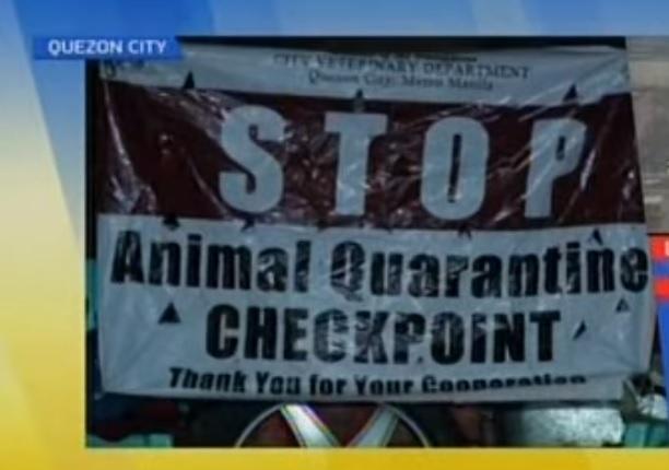 Animal checkpoint set up in Barangay Bagong Silangan, QC; more than 900 ...