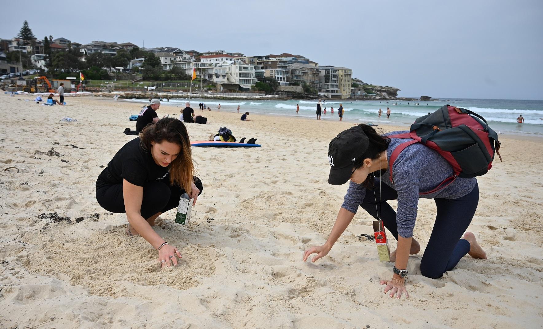 Environmental activists pluck plastic from world's beaches on mass ...