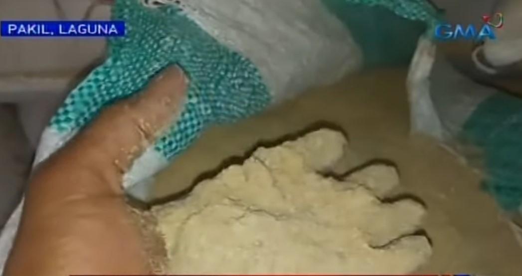 Palay prices now lower than that of ‘darak’ | GMA News Online