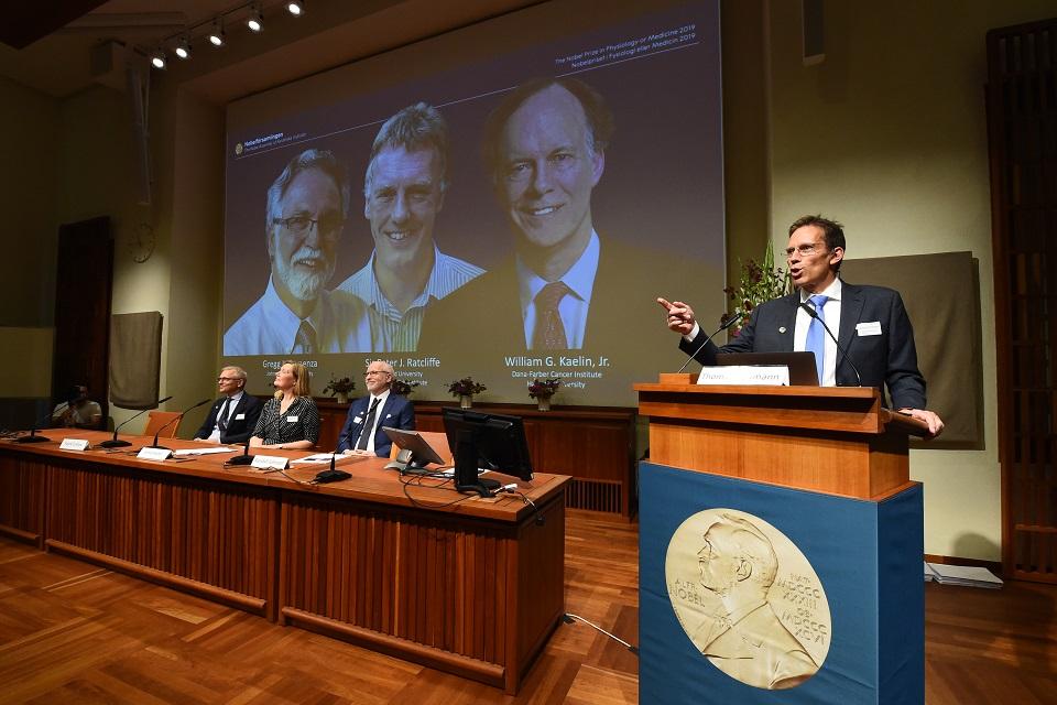 Nobel Medicine Prize won by doctors for work on cells’ response to ...