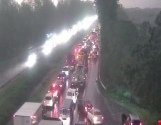 FALLENTREE | Tracking | GMA News Online