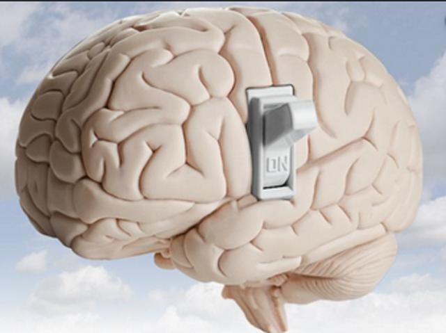 Scientists shed light on how brains turn pain up or down | GMA News Online