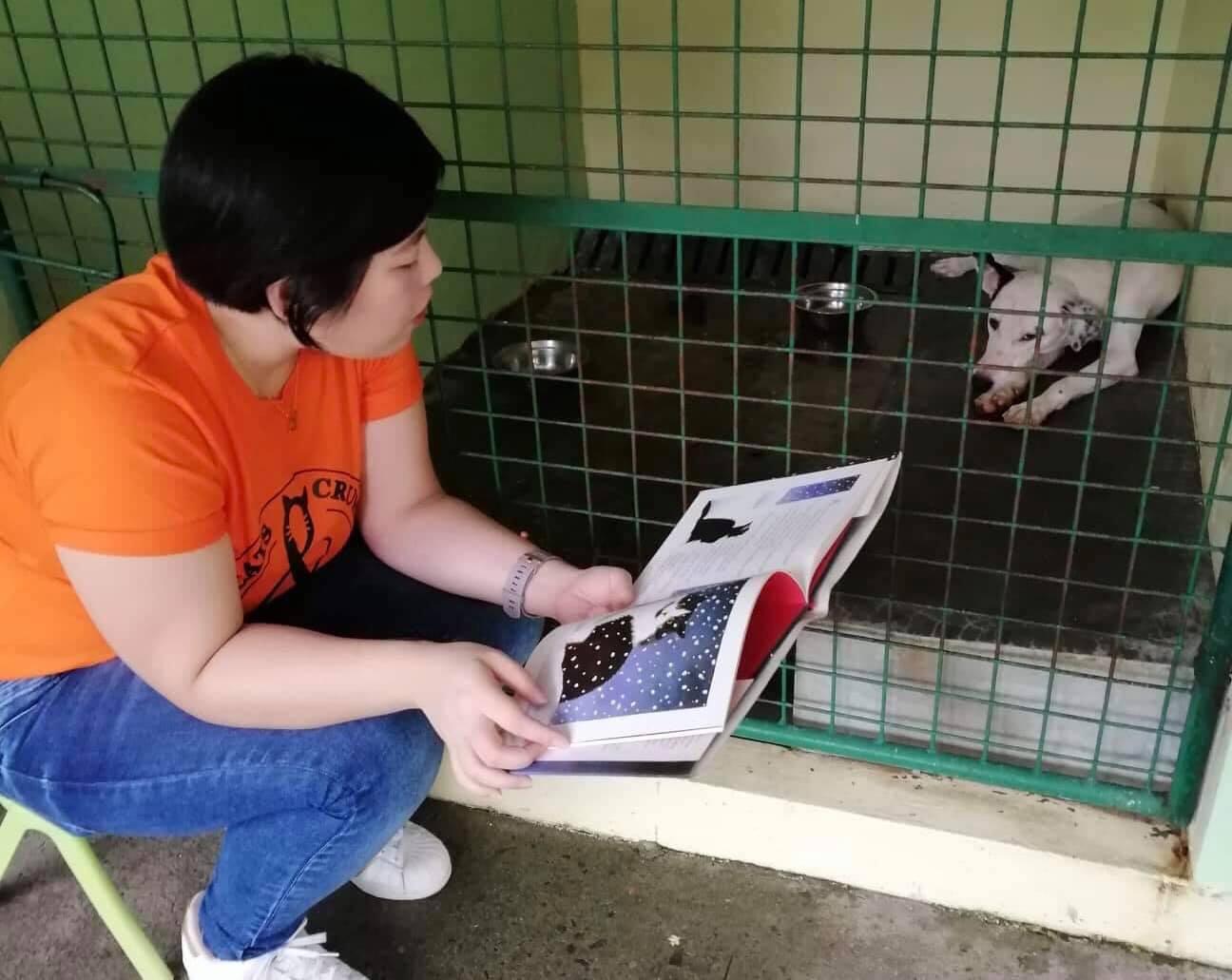 You can volunteer to read to shelter dogs to calm them before adoption ...