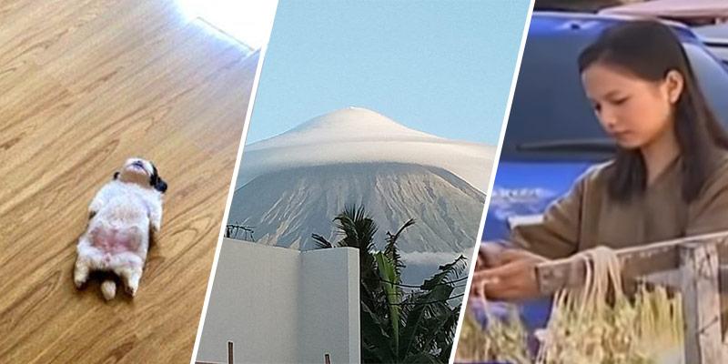 Here are the biggest stories that went viral this year | GMA News Online