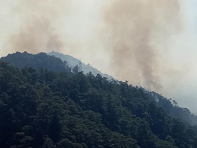 Isang bahagi ng kagubatan sa Atok, Benguet nasusunog | Balitambayan