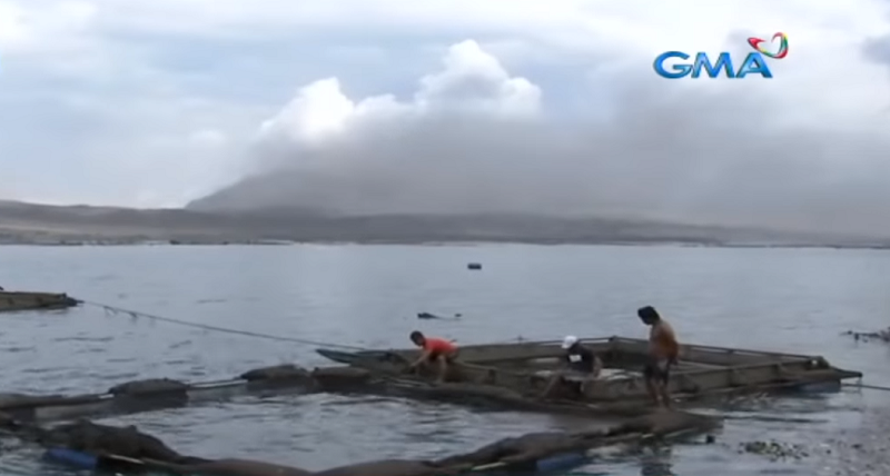 Fish from Taal Lake safe for consumption — BFAR | GMA News Online