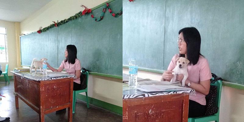 Student brings a puppy to school and the teacher had the cutest ...