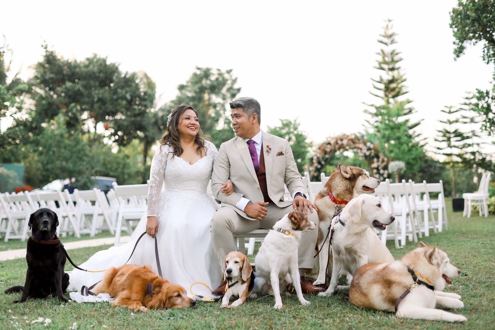 Dogs as members of your wedding entourage? This couple thinks it's a ...