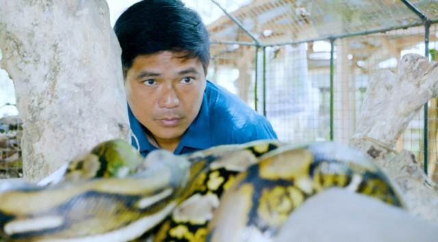 Pythons in captivity on ‘Born to be Wild’ | GMA News Online