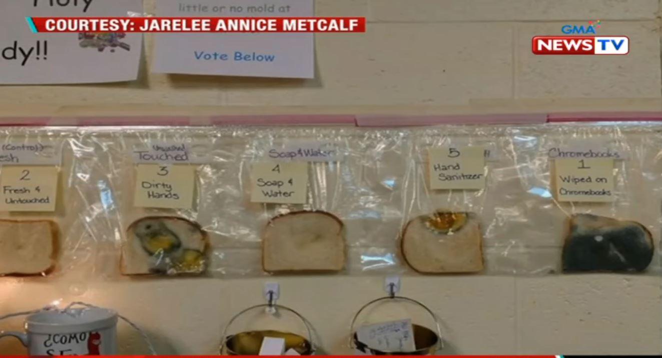 US class experiment shows value of handwashing vs viruses | GMA News Online