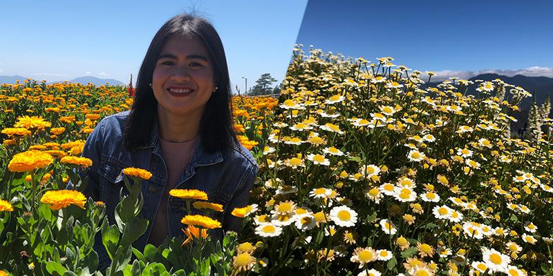 Flower Farm Baguio Entrance Fee | Best Flower Site